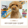 강아지 외부구충제 개진드기약 성분 효과 비교넥스가드스펙트라 어드밴틱스 프론트라인 네이버 블로그